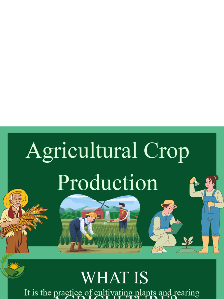 Empowering Local Farmers | PDF