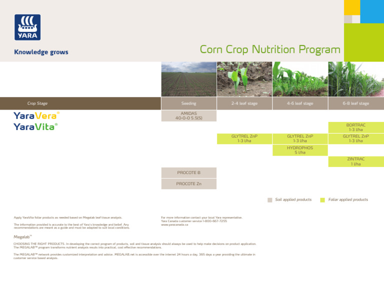 Corn Crop Nutrition Program | PDF | Horticulture | Botany