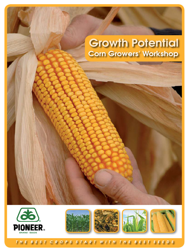 Corn Workshop Book | PDF | Soil | Seed