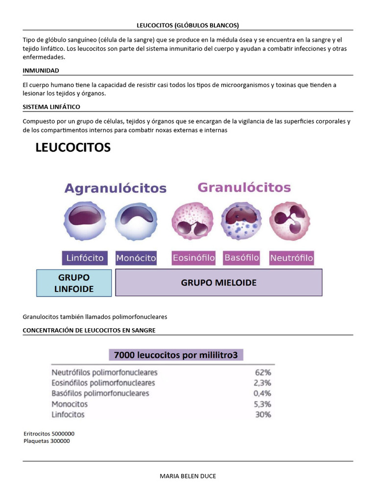 LEUCOCITOS | PDF | Leucocito | Inflamación