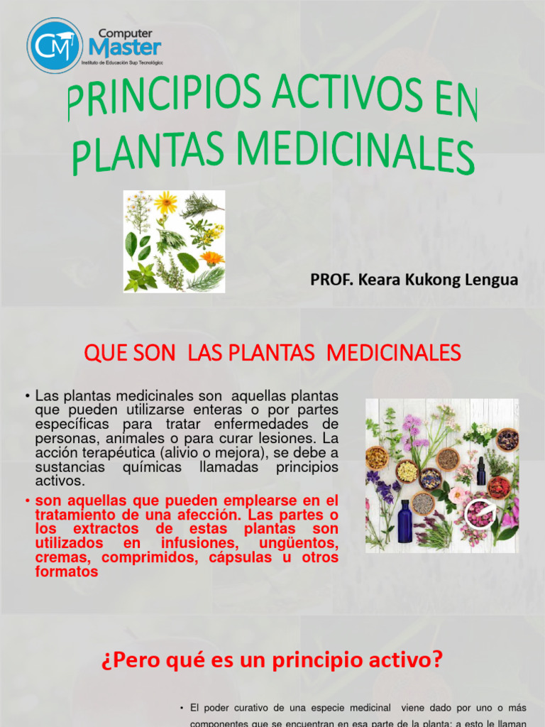 Principios Activos en Plantas Medicinales | PDF | Plantas medicinales | Metabolismo