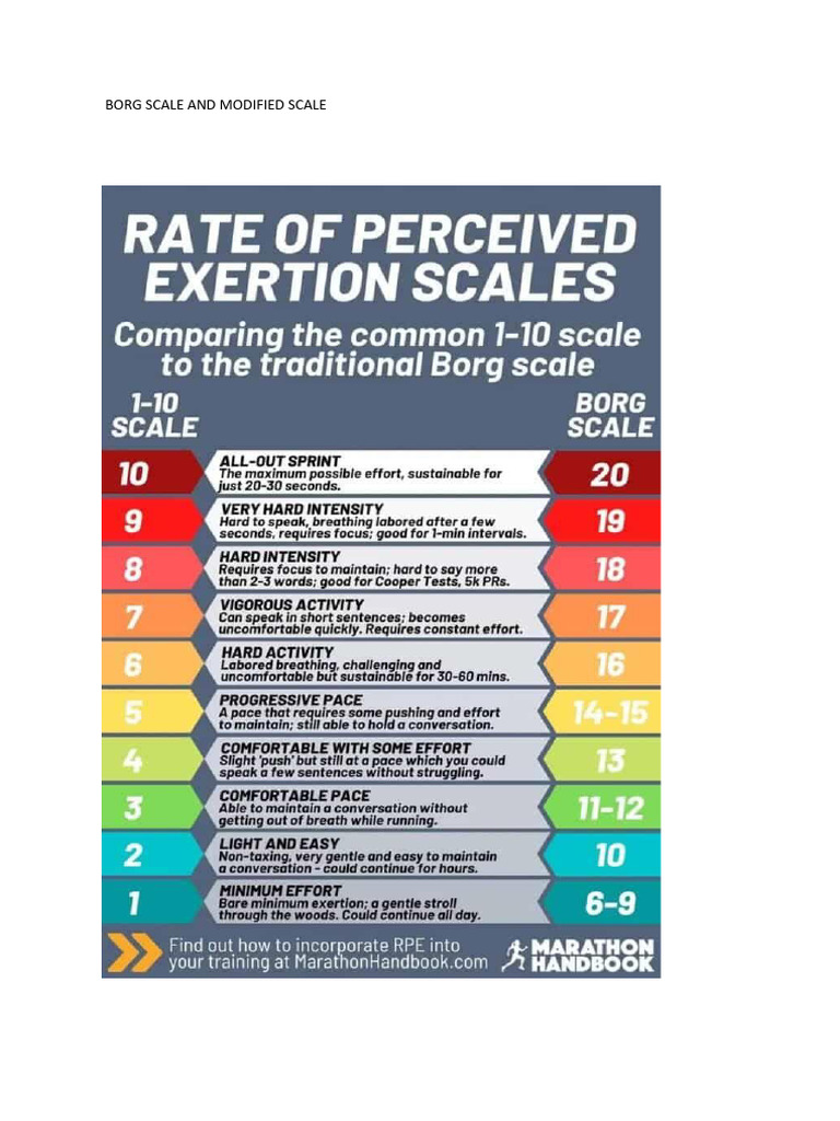 Borg Scale n modified scale | PDF
