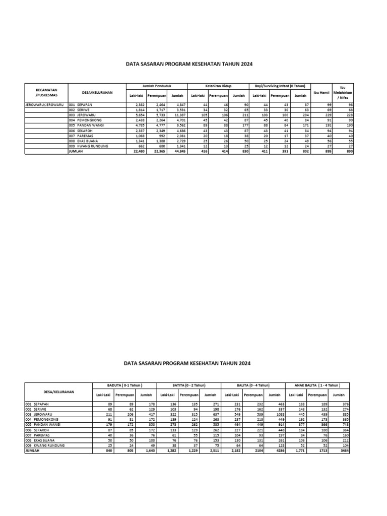 Sasaran 2024 Puskesmas Jerowaru | PDF