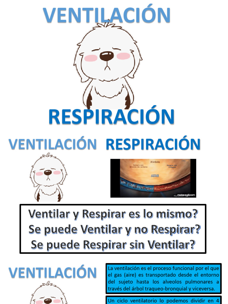 Ventilacion Respiracion | Descargar gratis PDF | Respiración | Sistema respiratorio