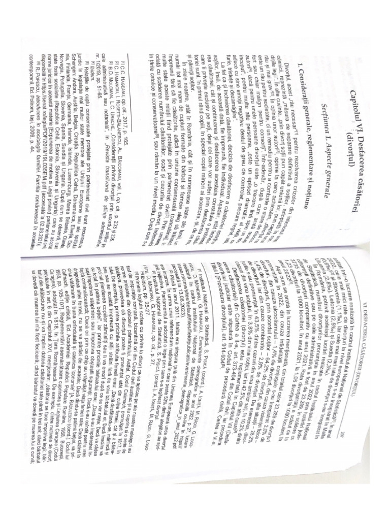 Ciprian Raul Romitan | PDF