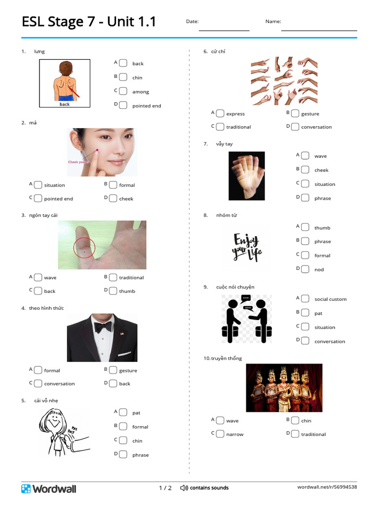 Esl Stage 7 Unit 11 Quiz | PDF