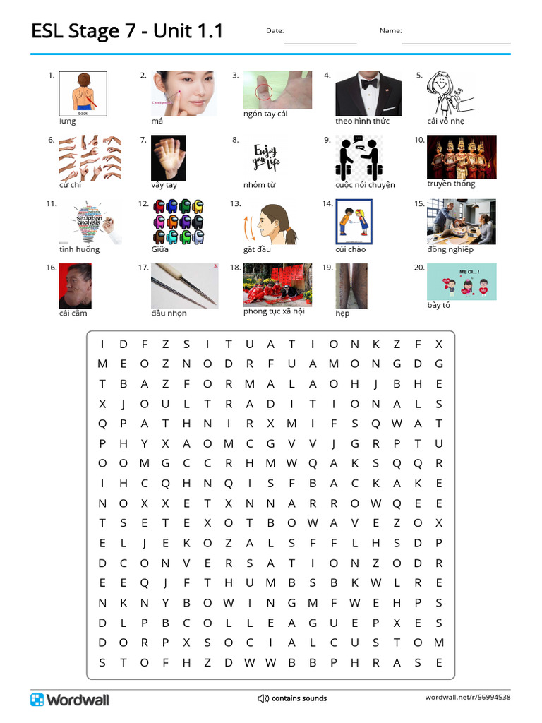 Esl Stage 7 Unit 11 Wordsearch | PDF