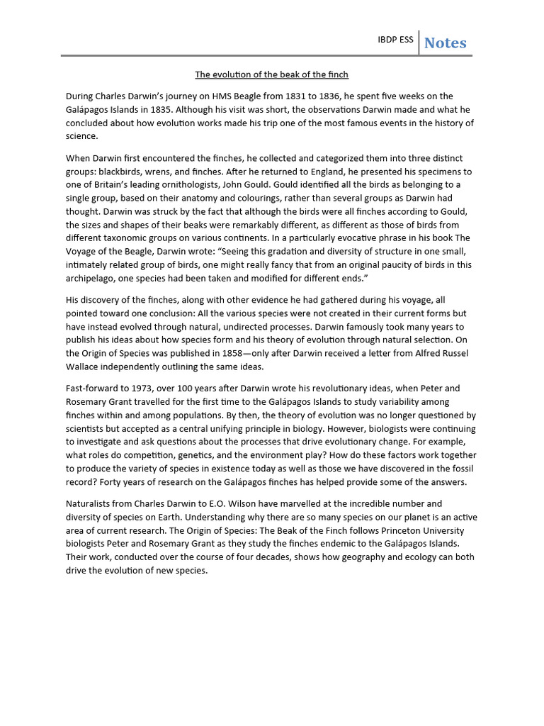 The Evolution of The Beak of The Finch Worksheet | PDF | Species | Nature