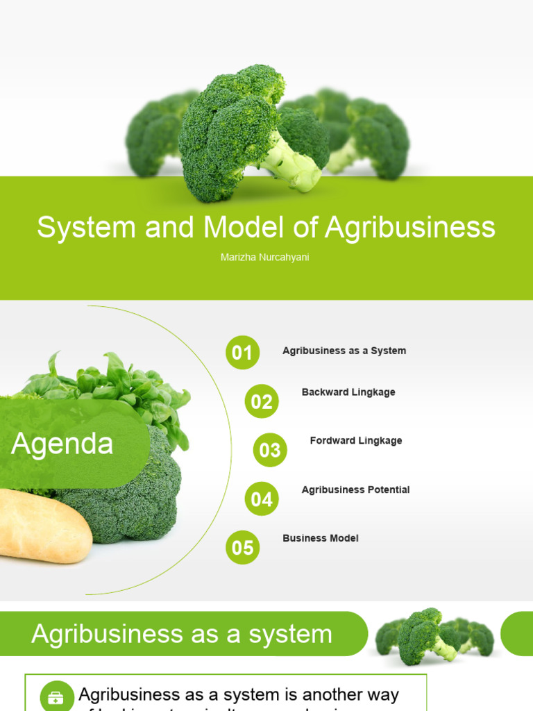 System and Model of Agribusiness | Download Free PDF | Agribusiness | Agriculture