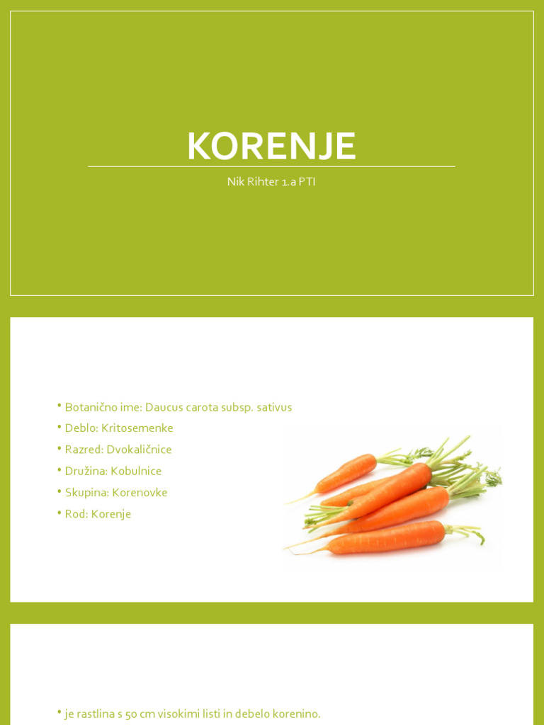 Koren Je | PDF