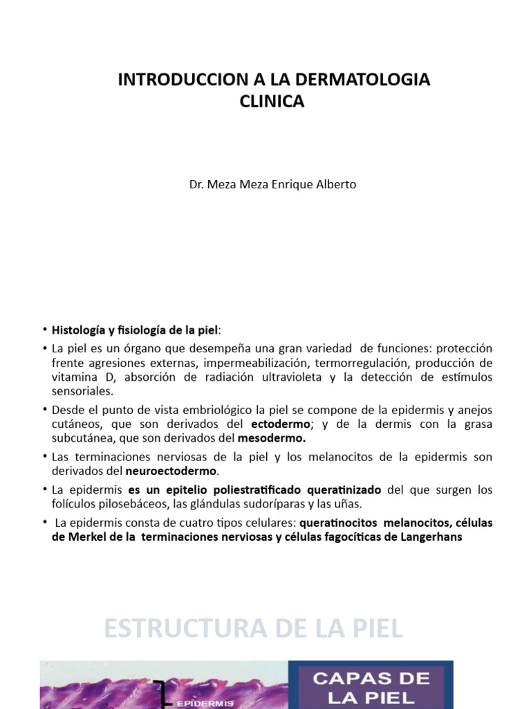 INTRODUCCION A LA DERMATOLOGIA Y SEMIOLOGIA Ok | PDF | Perdida de cabello | Epidermis