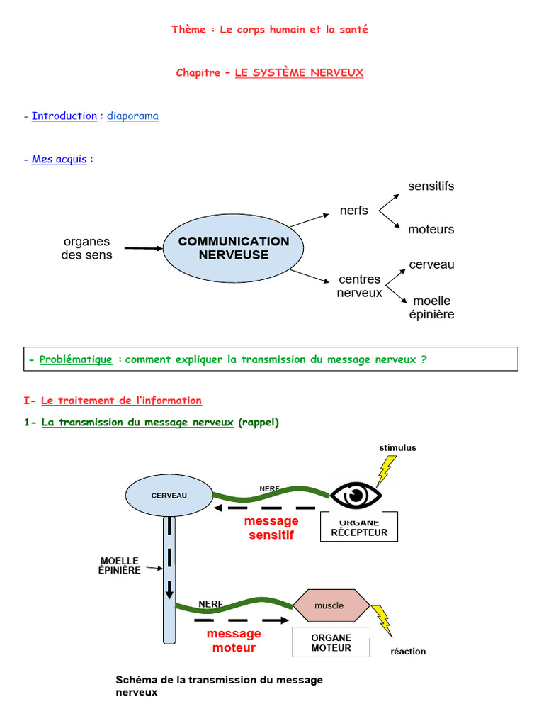 4c3 - Le Systeme Nerveux - 4e2 | PDF | Nerf | Cerveau