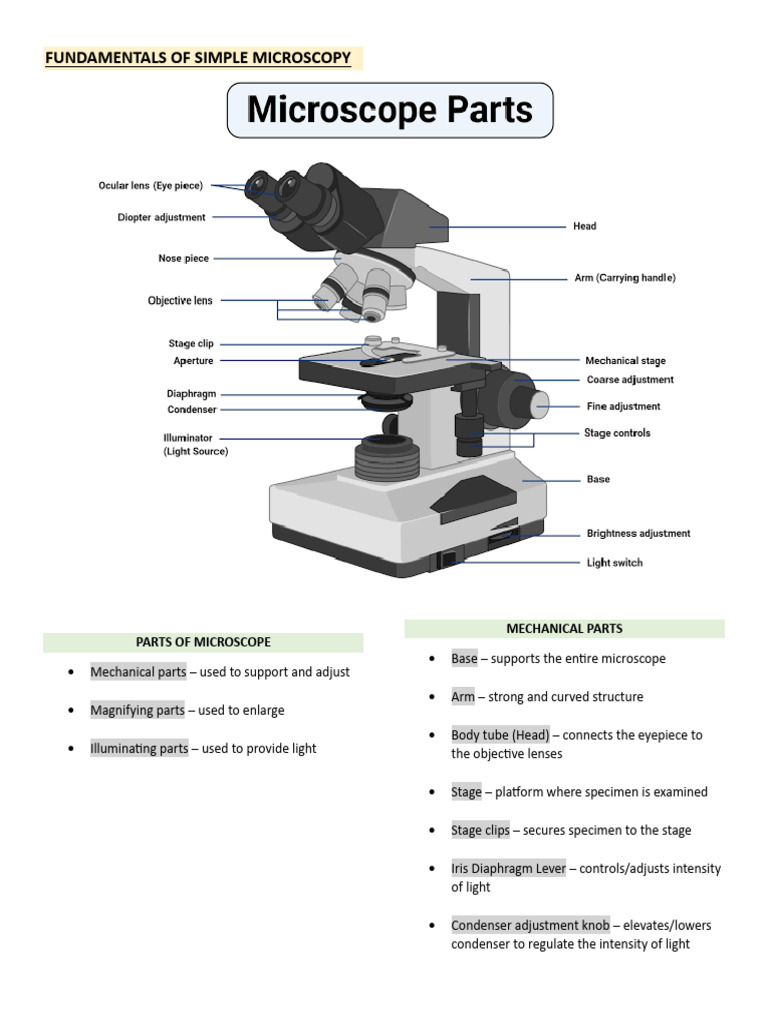 ANAPHY Histology Microscope Microscopy 15 Specimen Not Included | PDF ...