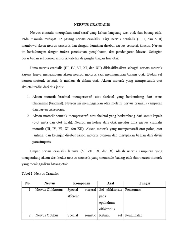 Panduan Lengkap Nervus Cranialis Manusia | PDF
