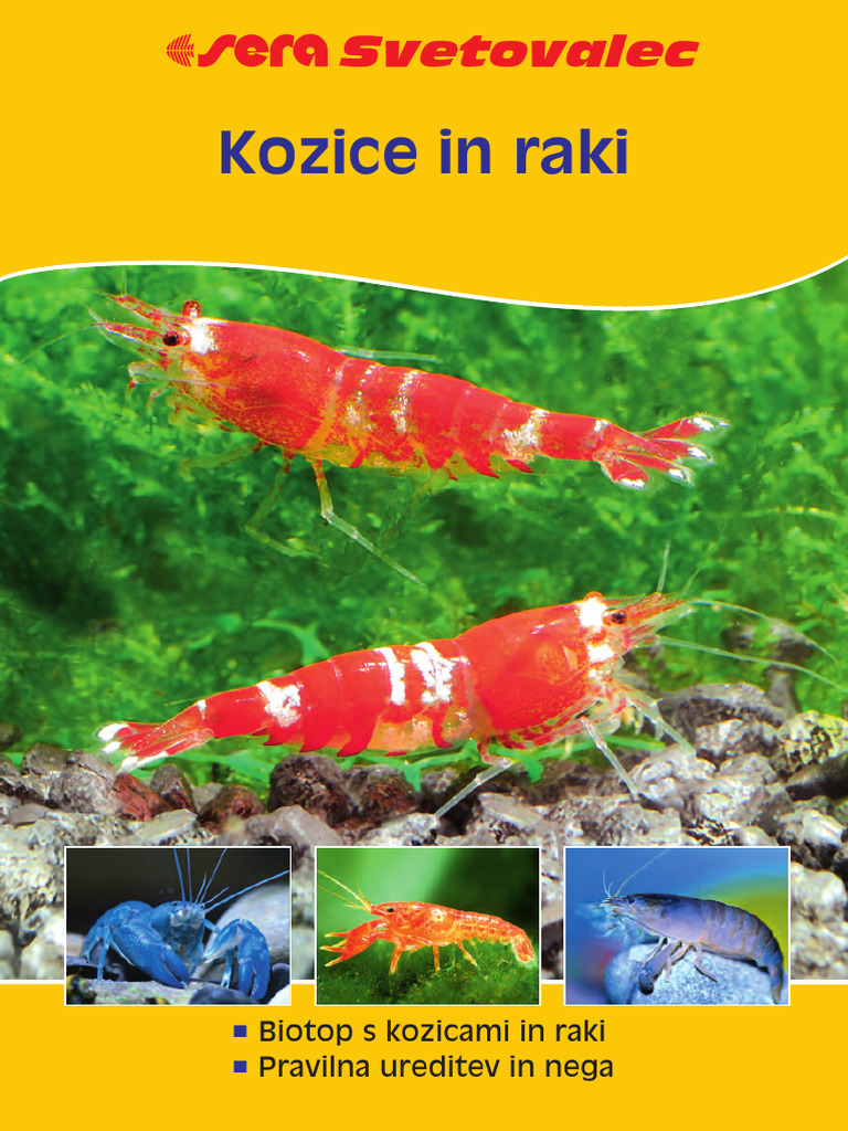 Kozice in Raki | PDF
