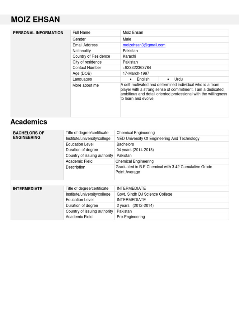 Moiz Ehsan CV (Updated) | PDF | Search Engine Optimization | Digital Marketing