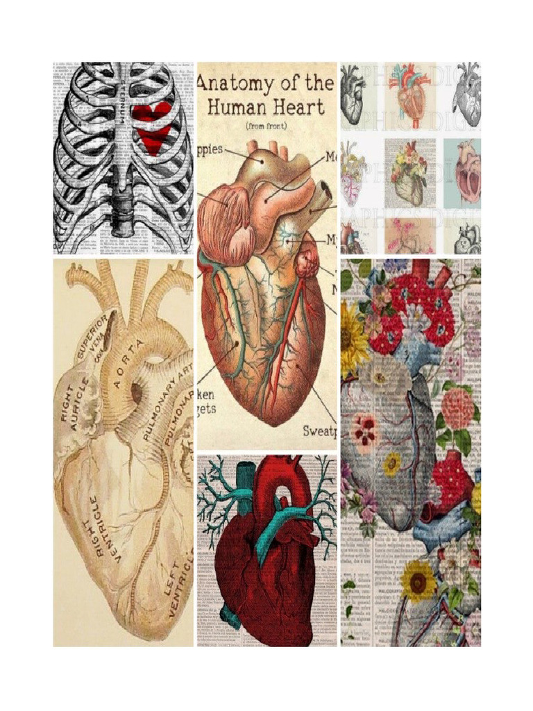 The Heart Collage | PDF
