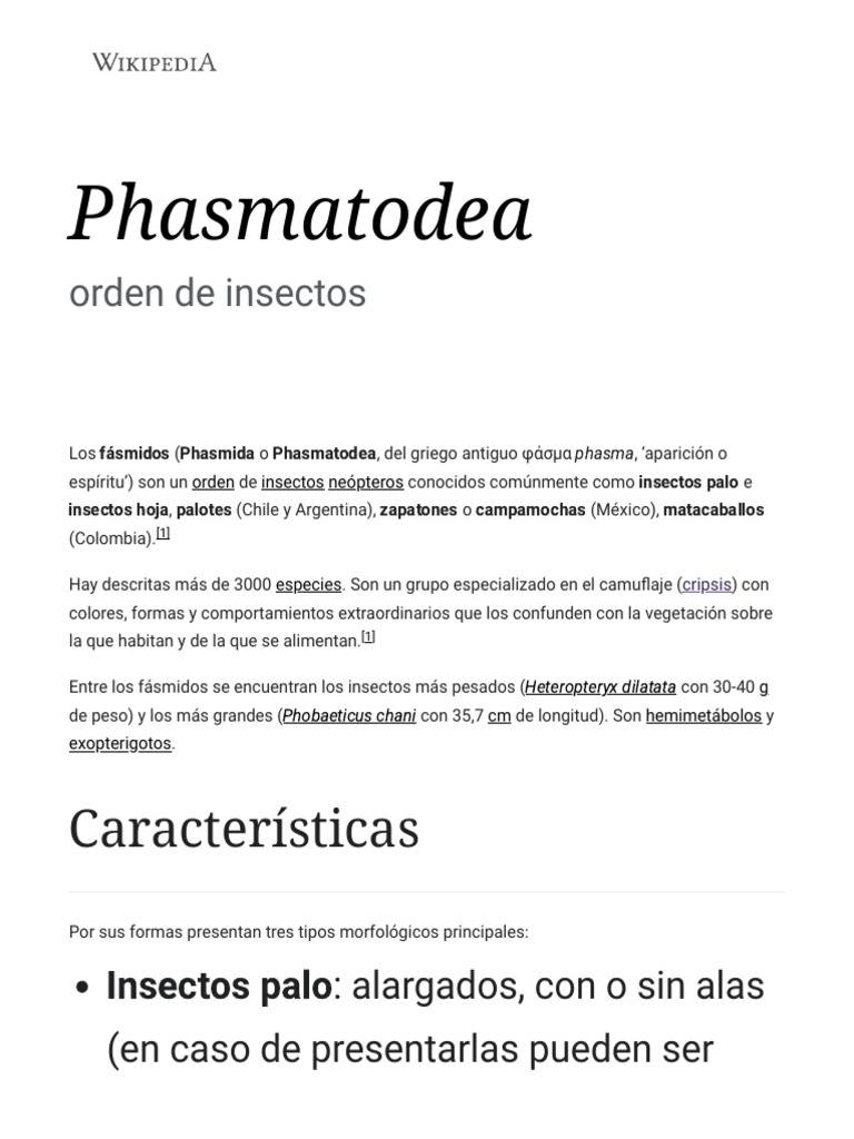 Phasmatodea - Wikipedia, La Enciclopedia Libre | PDF | Hexapoda | Biología