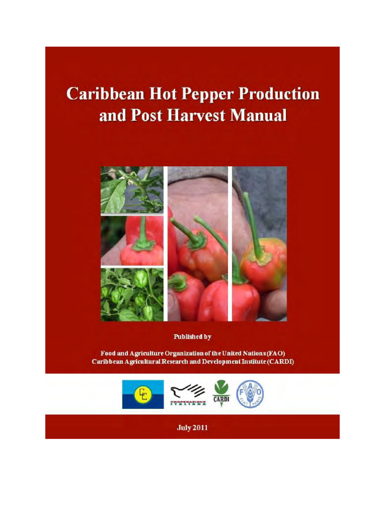 Cbbean Hot Pepper Production Post Harvest Manual | PDF | Chili Pepper ...