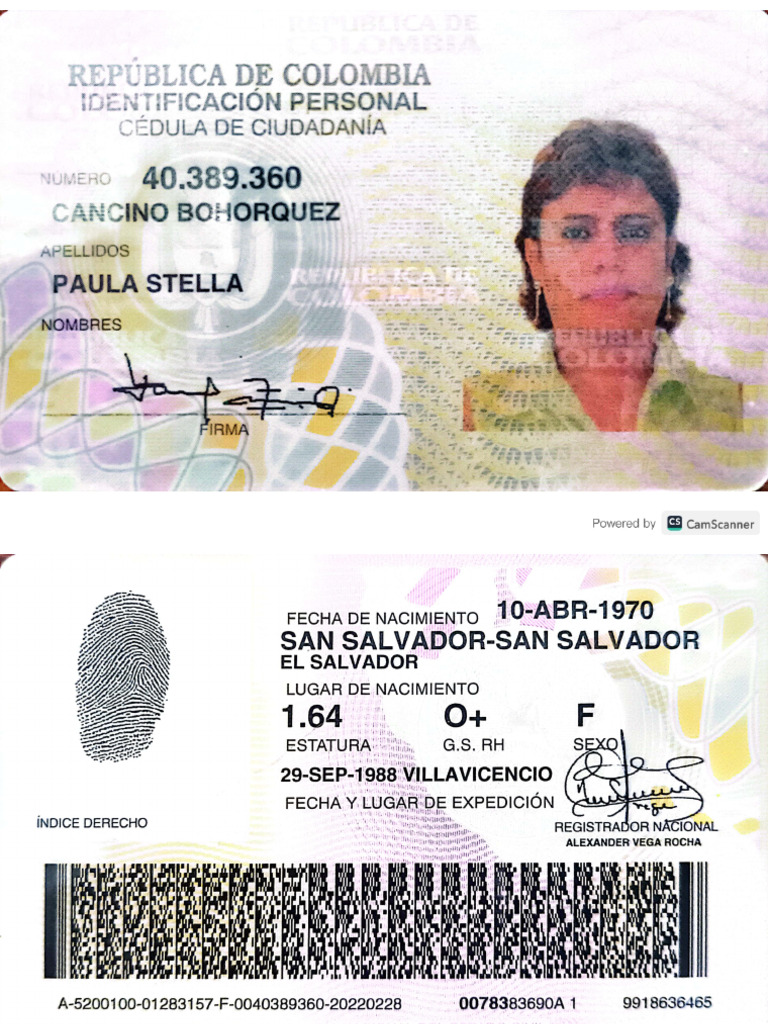 Cédula Paula Cancino | PDF