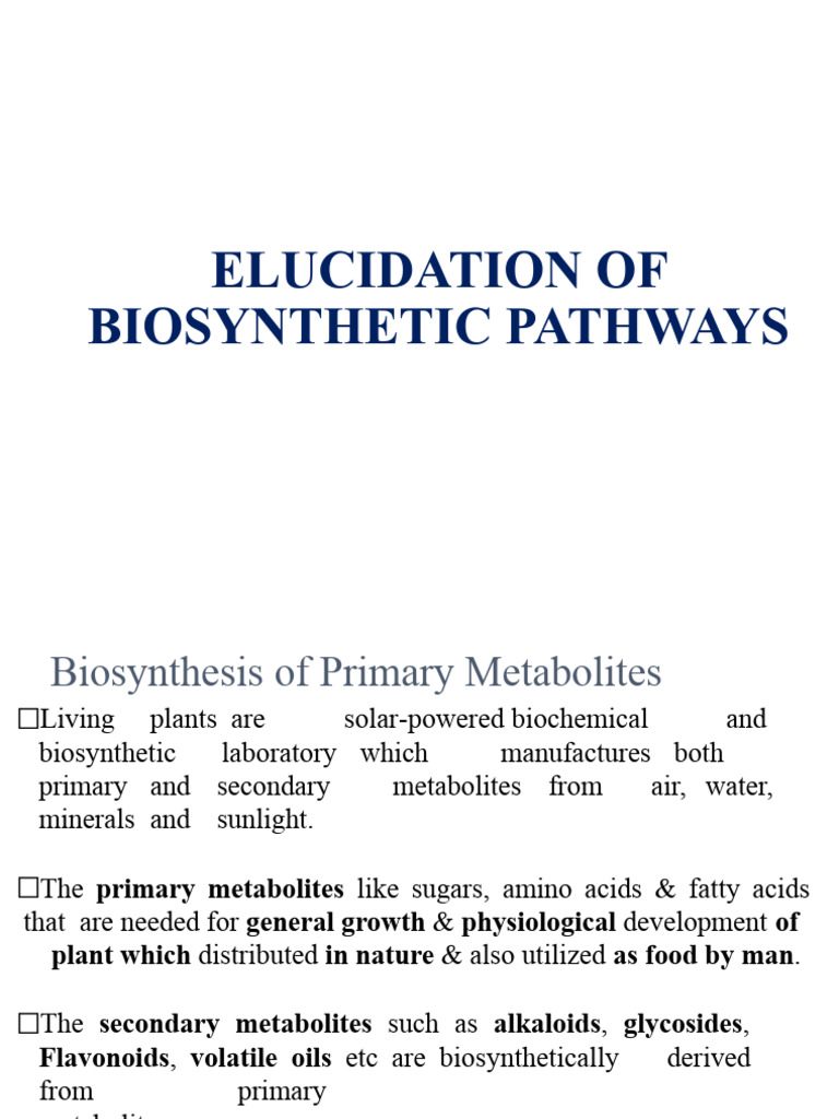 Tracer Techniques in Plant Biosynthesis | PDF | Isotope | Radioactive Decay