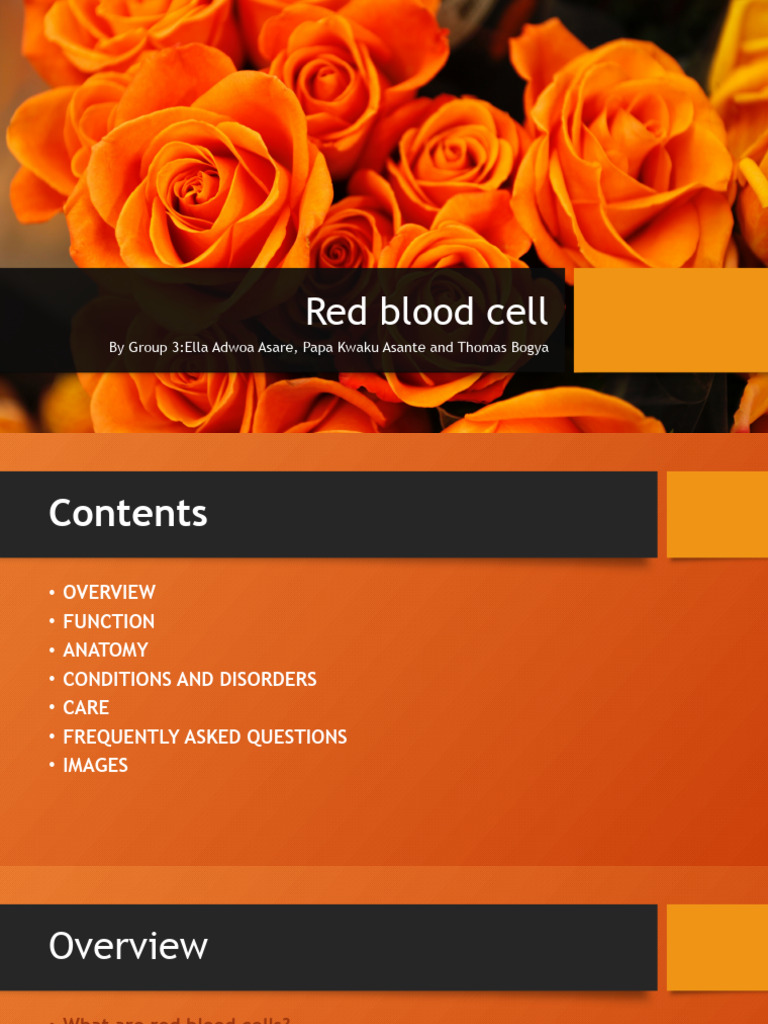 Red Blood Cell | PDF | Blood | Red Blood Cell