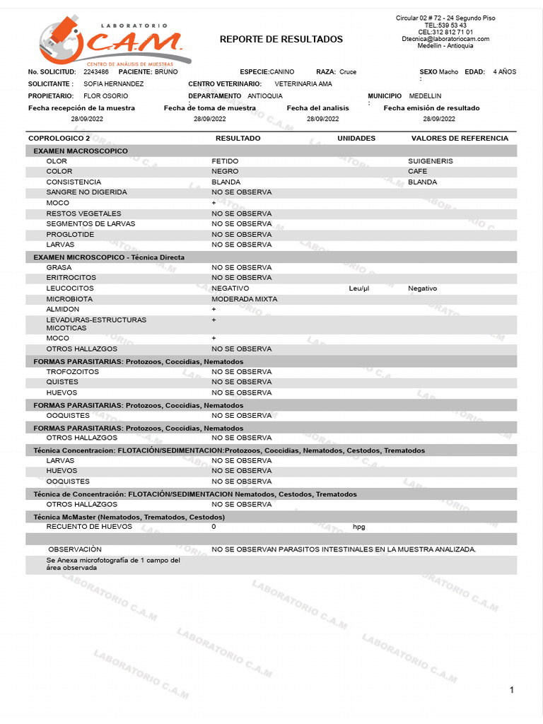 Informe Coprológico Canino | PDF | Biología | Parasitología