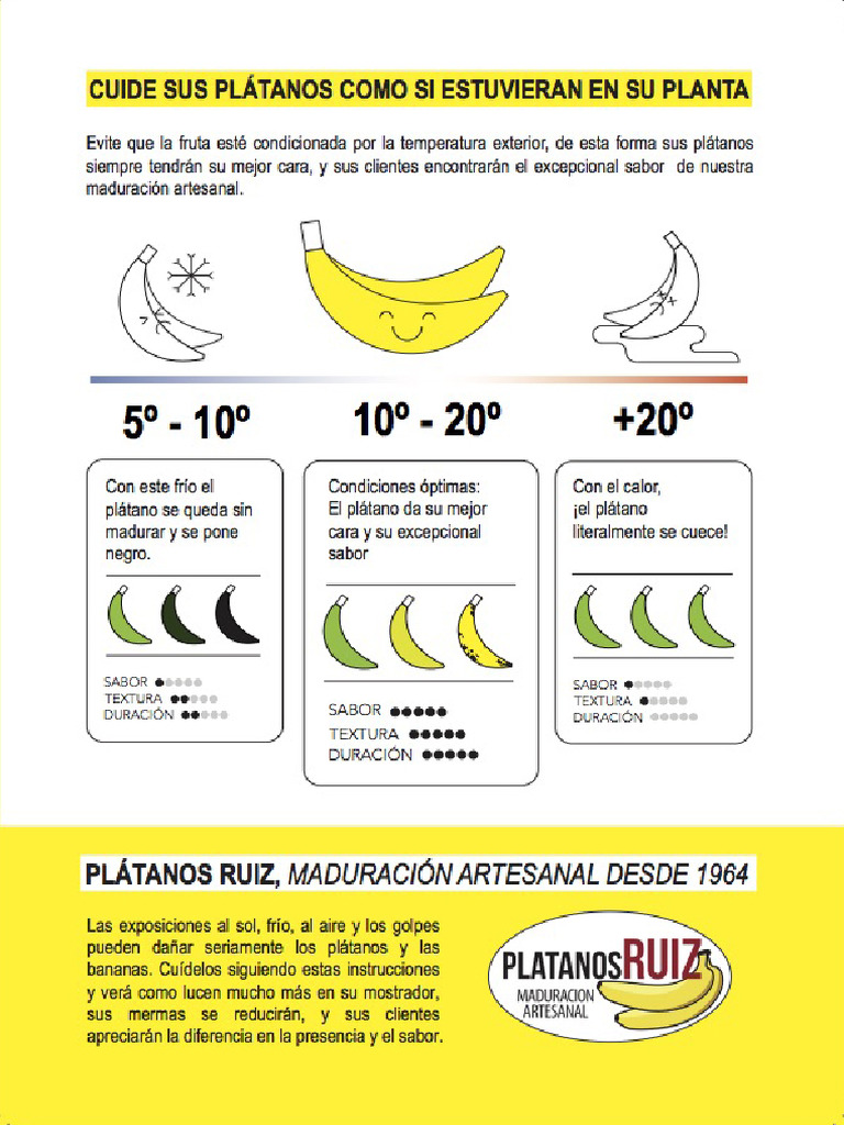 Como Cuidar Los Platanos | PDF