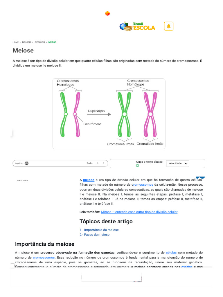 Meios o Que É e Quais São As Suas Fases | PDF | Meiose | Mitose