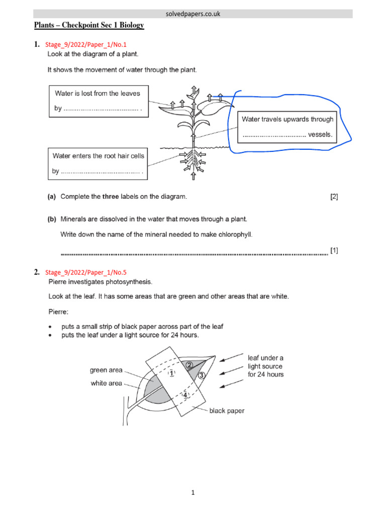 Year 8 Term 1 Topical Past Questions | PDF | Sets Of Chemical Elements ...