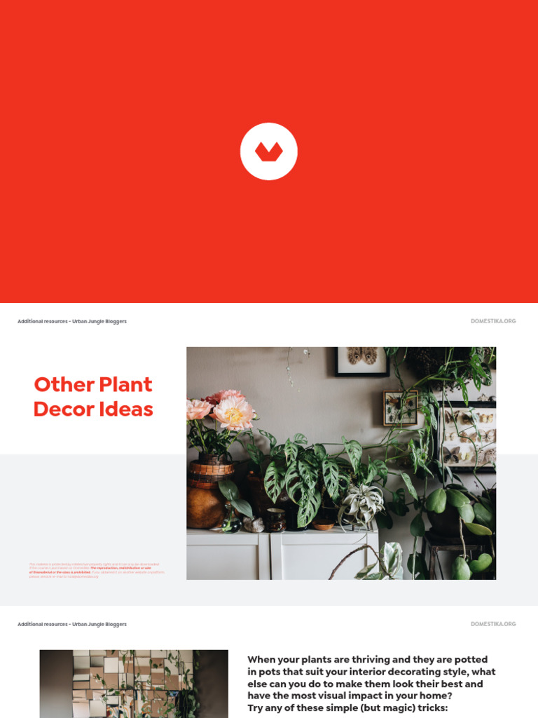 Domestika UJB Plant Decor Ideas | PDF | Plants | Botany