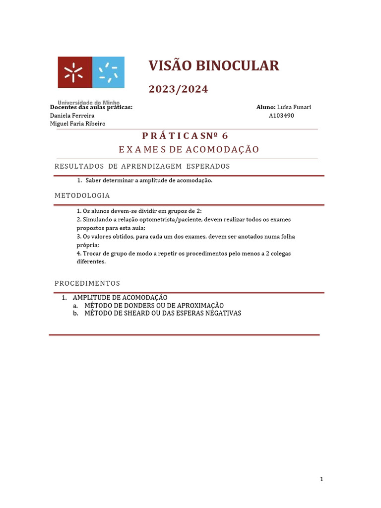 Protocolo 4 VB | PDF