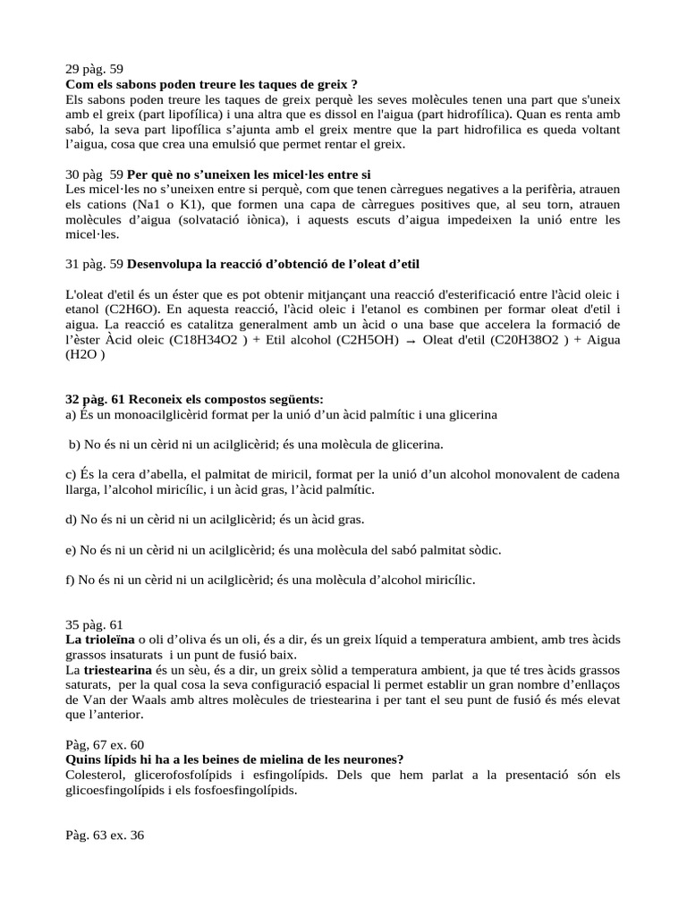 Solucionari Activitats | PDF