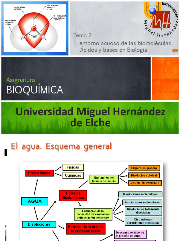 Bioquimica T2 | PDF | Solución tampón | Ph