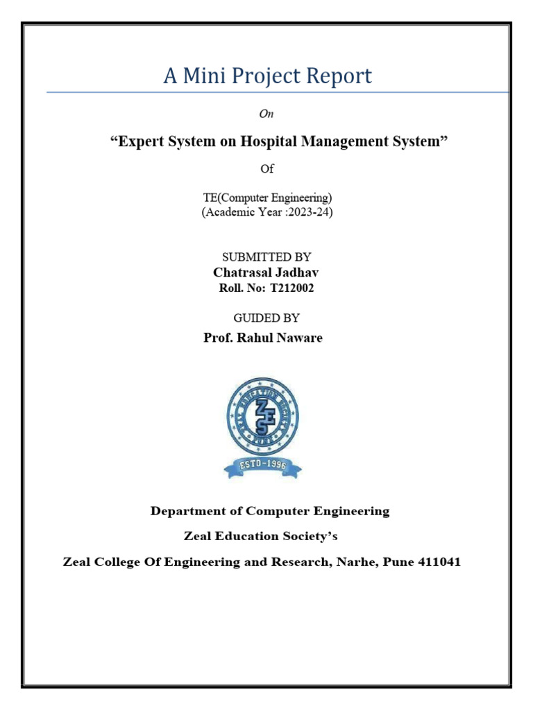 AI Mini Project | PDF | Health Administration | Health Care