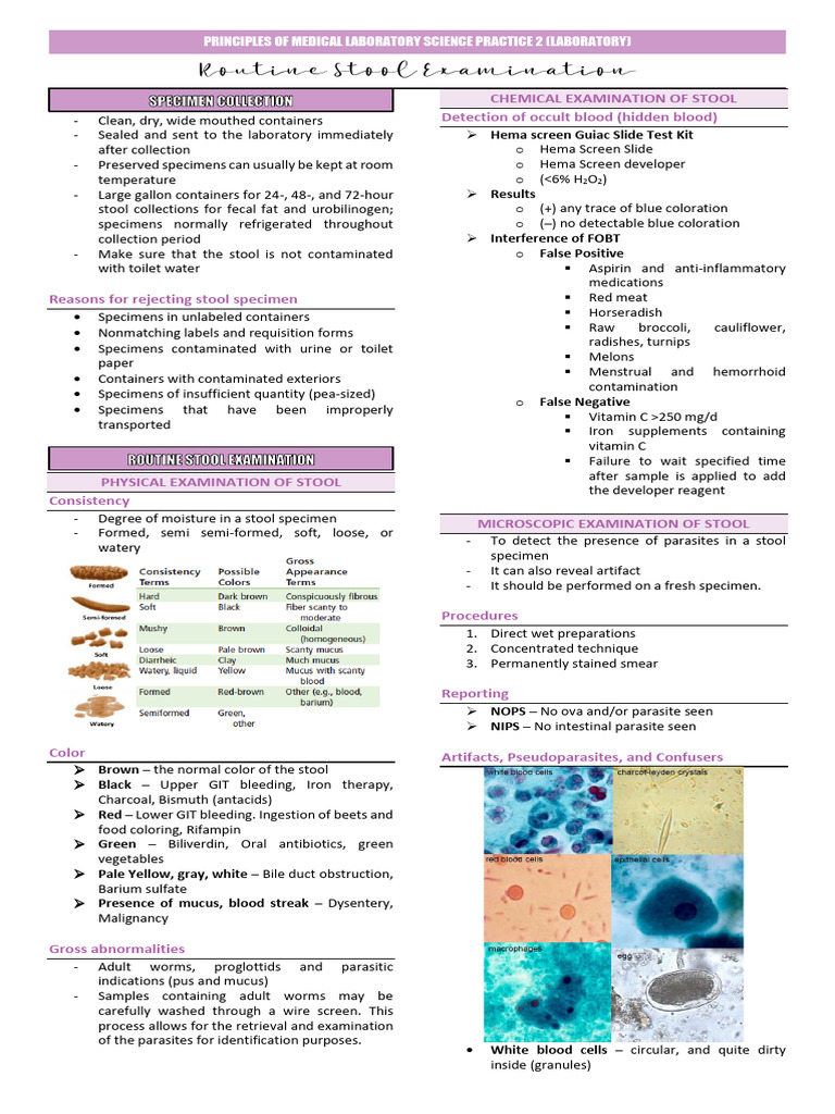 Routine Stool Examination | PDF | Human Feces | Staining