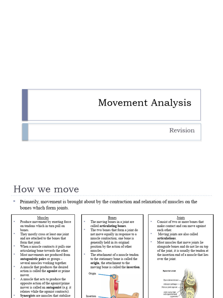 PE Movement Analysis Revision | PDF | Anatomical Terms Of Motion | Lever