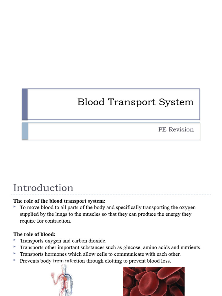 PE Blood Transport System | PDF | Artery | Blood Vessel