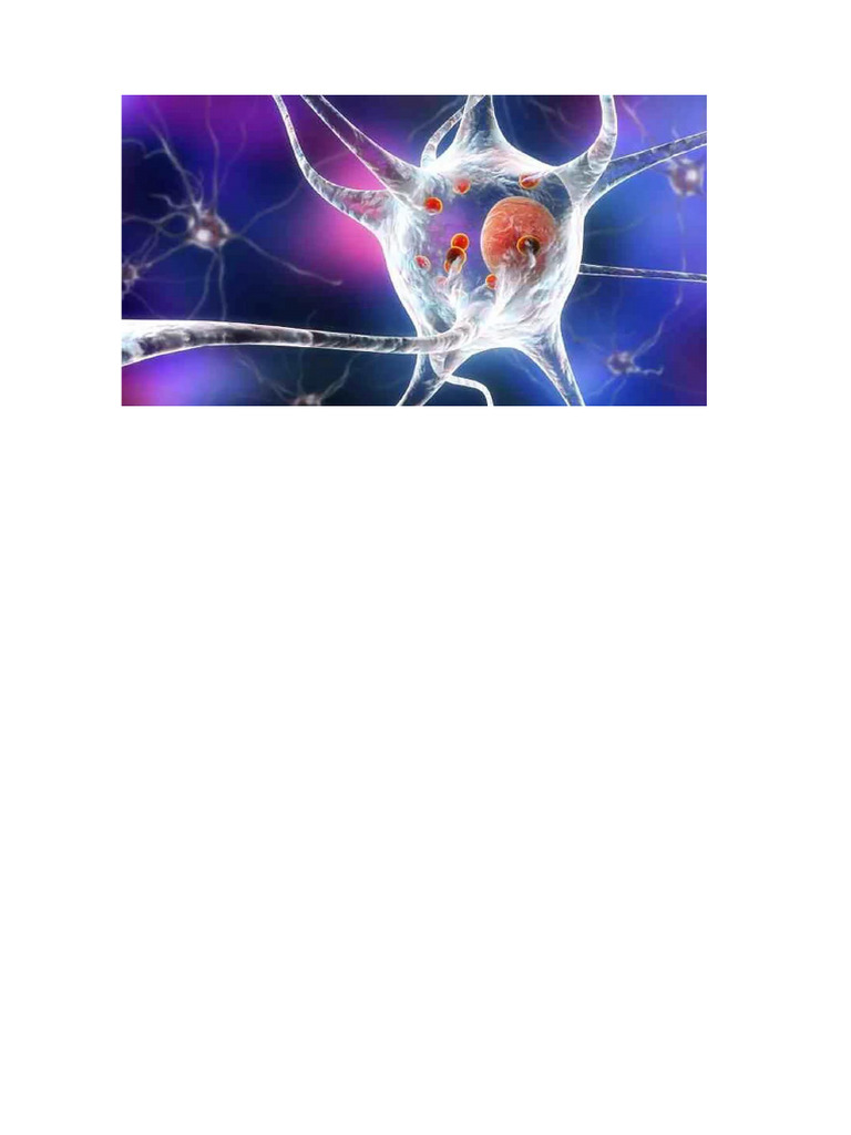 Foto Bio i GEO | PDF