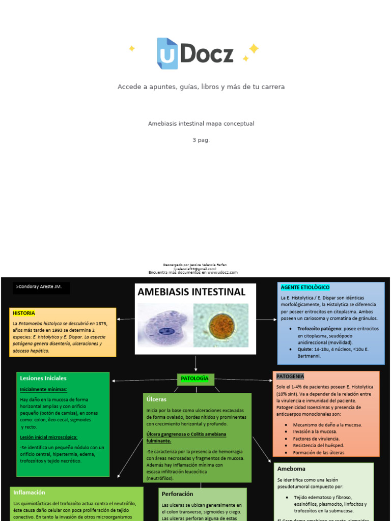 Amebiasis Intestinal: Diagnóstico y Tratamiento | PDF | Medicina ...