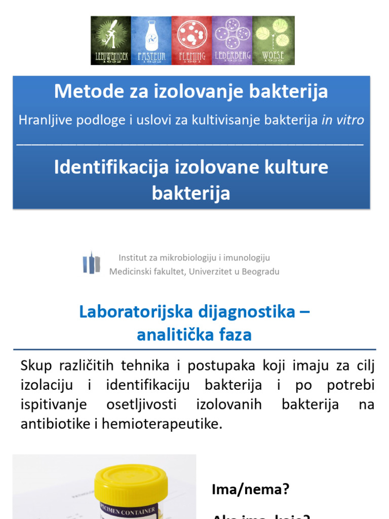 Vezba 3 - Izolovanje I Identifikacija Bakterija - PDF | PDF
