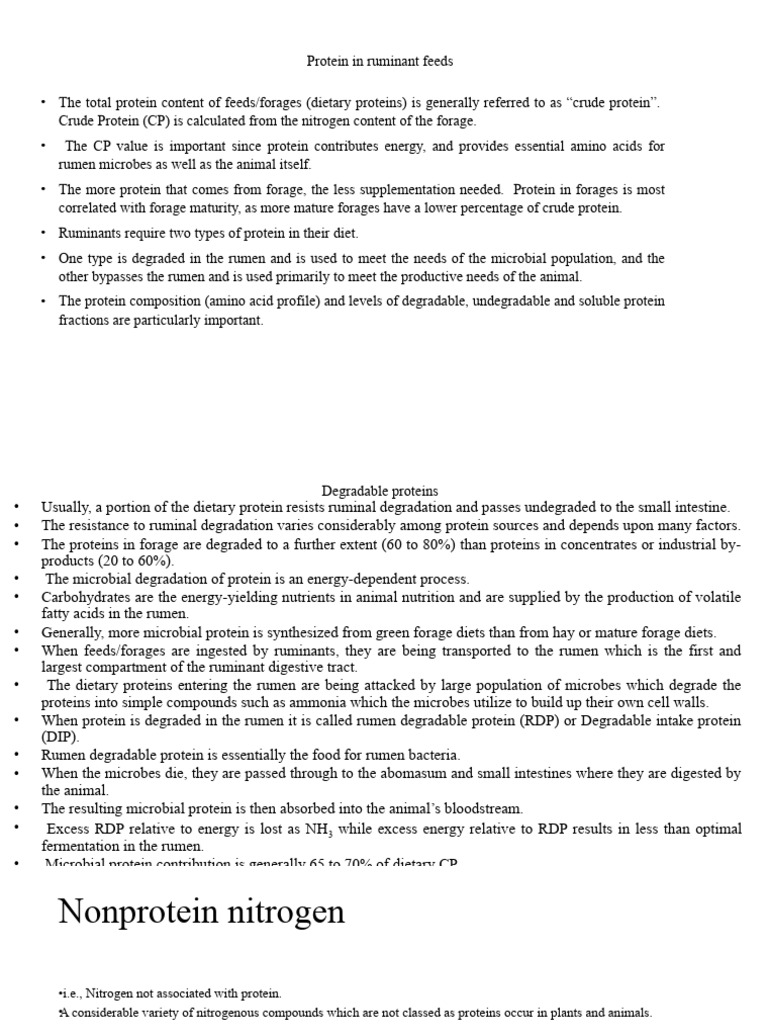 ANP 506 23 Protein in Ruminant Feeds | PDF | Ruminant | Proteins