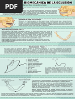 Diagrama de Posselt | PDF | Sistema musculoesquelético | Anatomía humana
