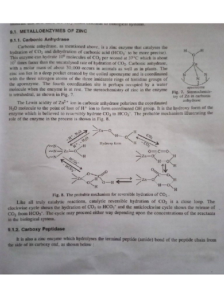 Metallo Enzymes | PDF