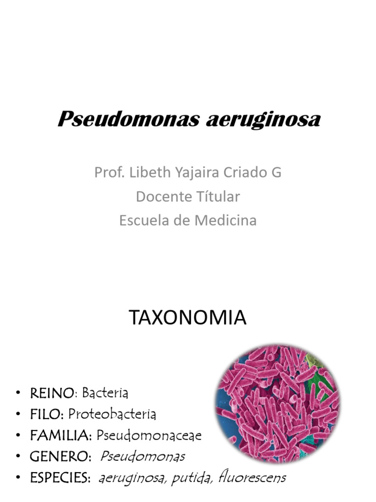 Pseudomonas | PDF | Pseudomonas | Pseudomonas Aeruginosa