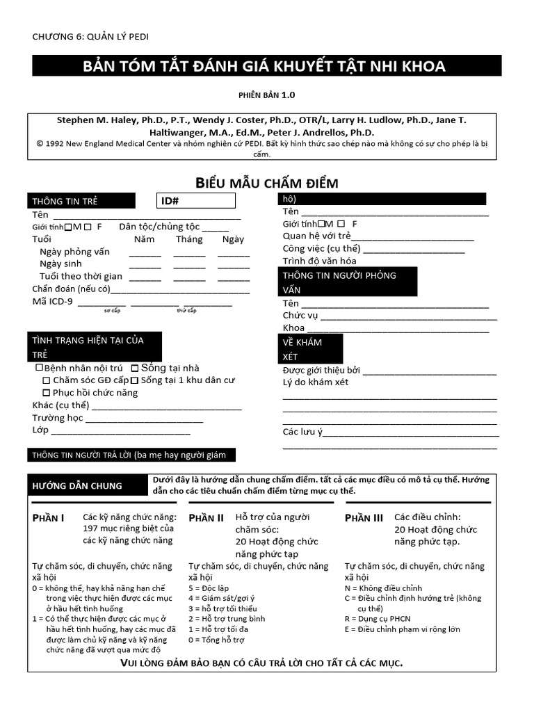 PEDI Score Form - VN | PDF