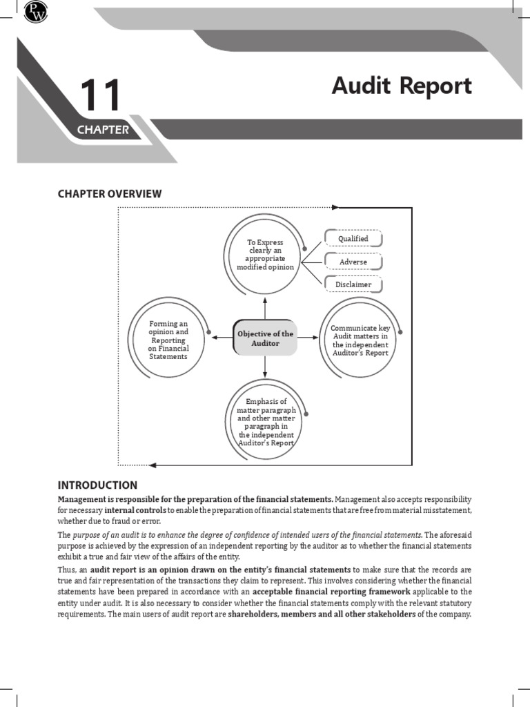 Audit Report _ E-Notes | PDF | Going Concern | Auditor's Report