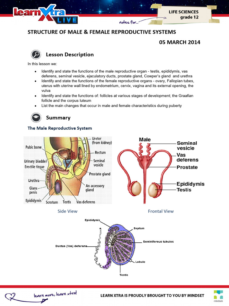 LXL_Gr12LifeSciences_05_Structure of Male and Female Reproductive ...