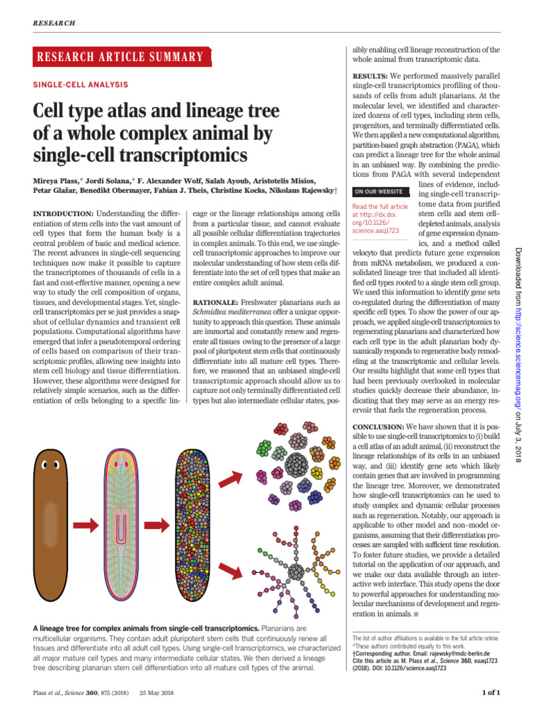 Cell Type Expression Profile Paper | PDF | Cellular Differentiation ...