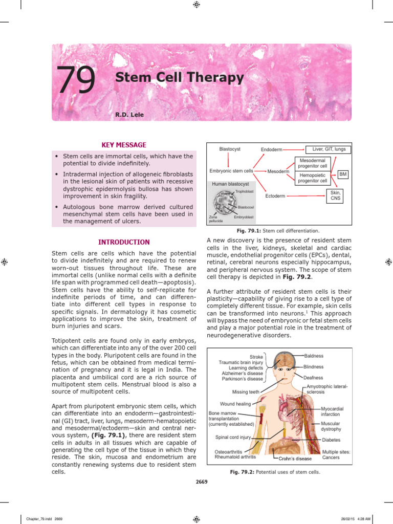 Chapter - 79 Checked... | PDF | Stem Cell | Cell Potency